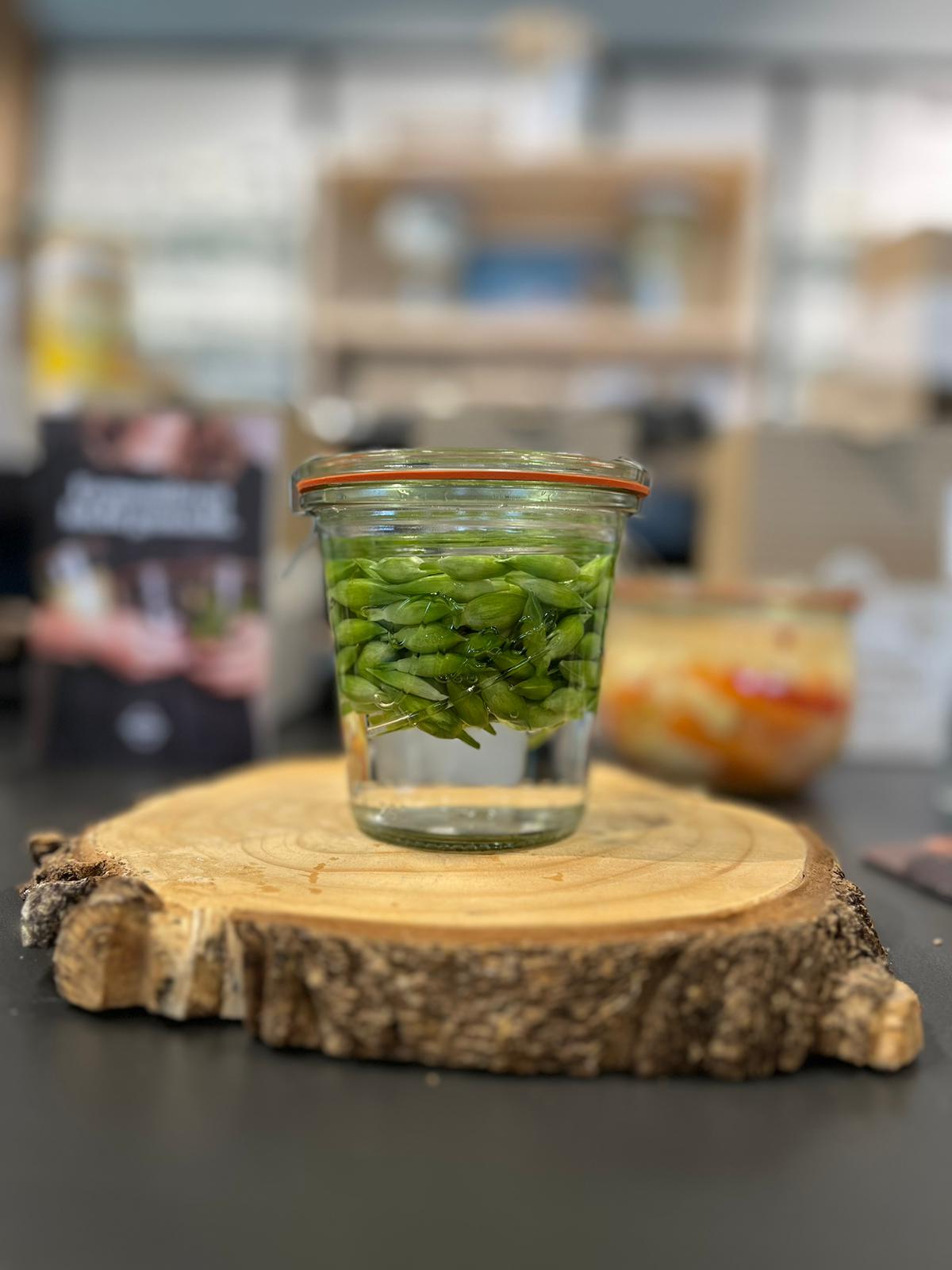 Bärlauchkapern - myRex