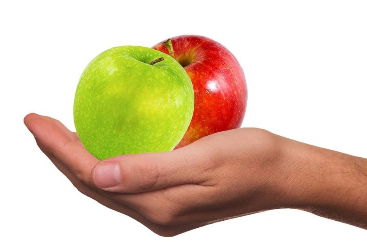 Wie viel wiegt eine Einheit Obst bzw. Gemüse - myRex