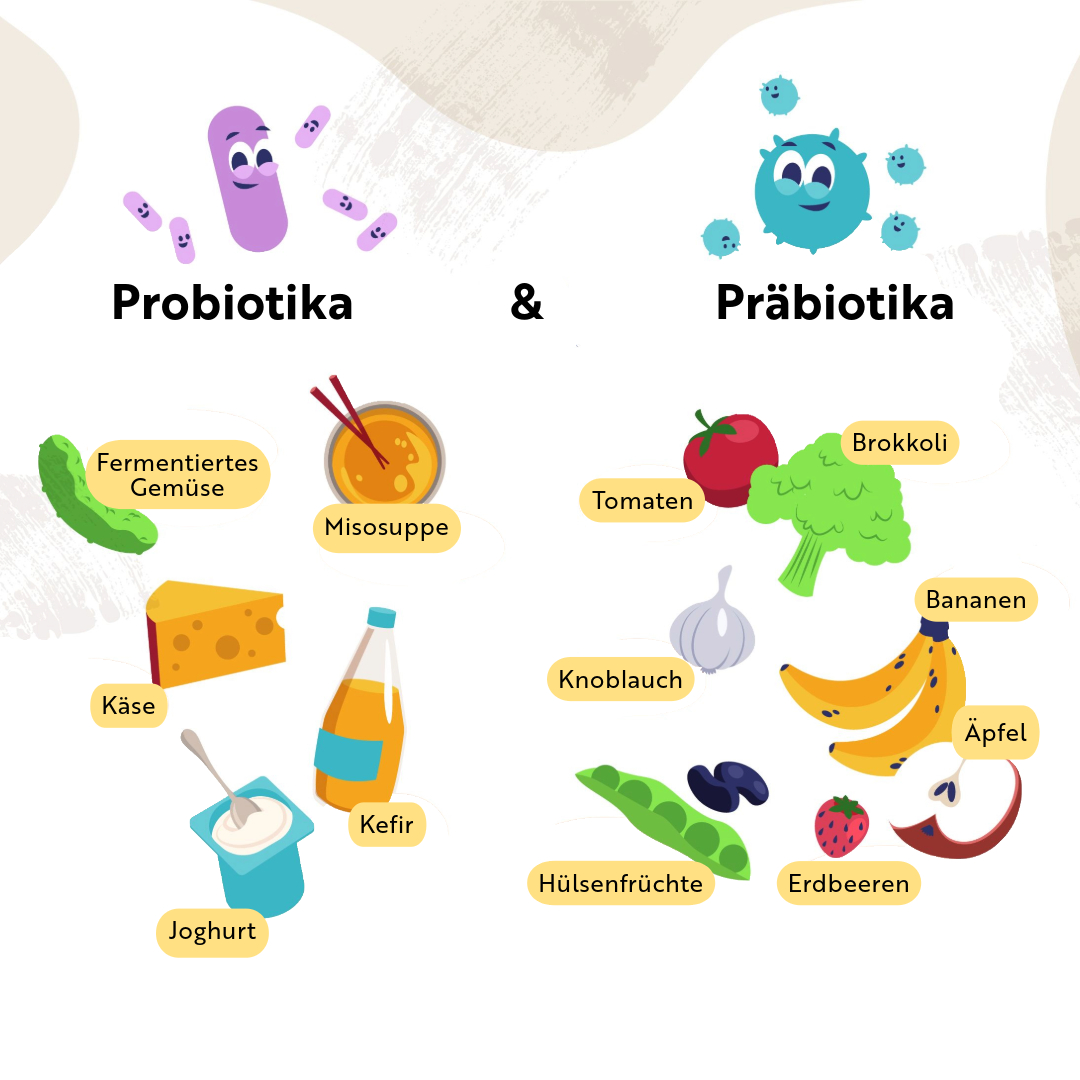 Die Wunderwelt der Prä- und Probiotika - myRex
